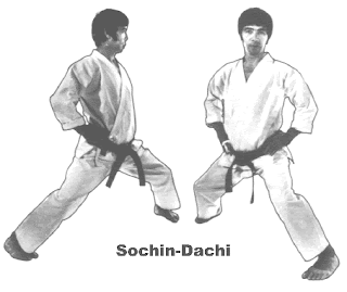 KARATE CINTURON BLANCO: DACHI WAZA