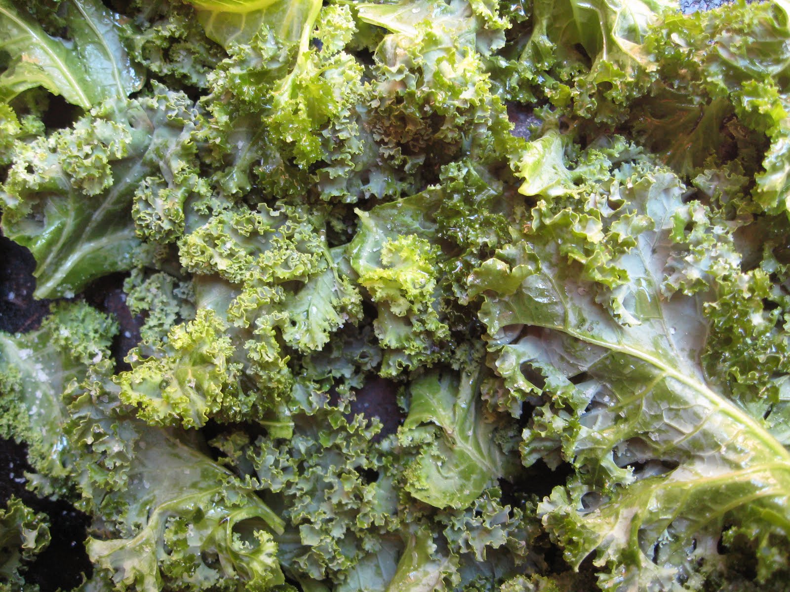 she's in the kitchen: my kale marathon and kale chips