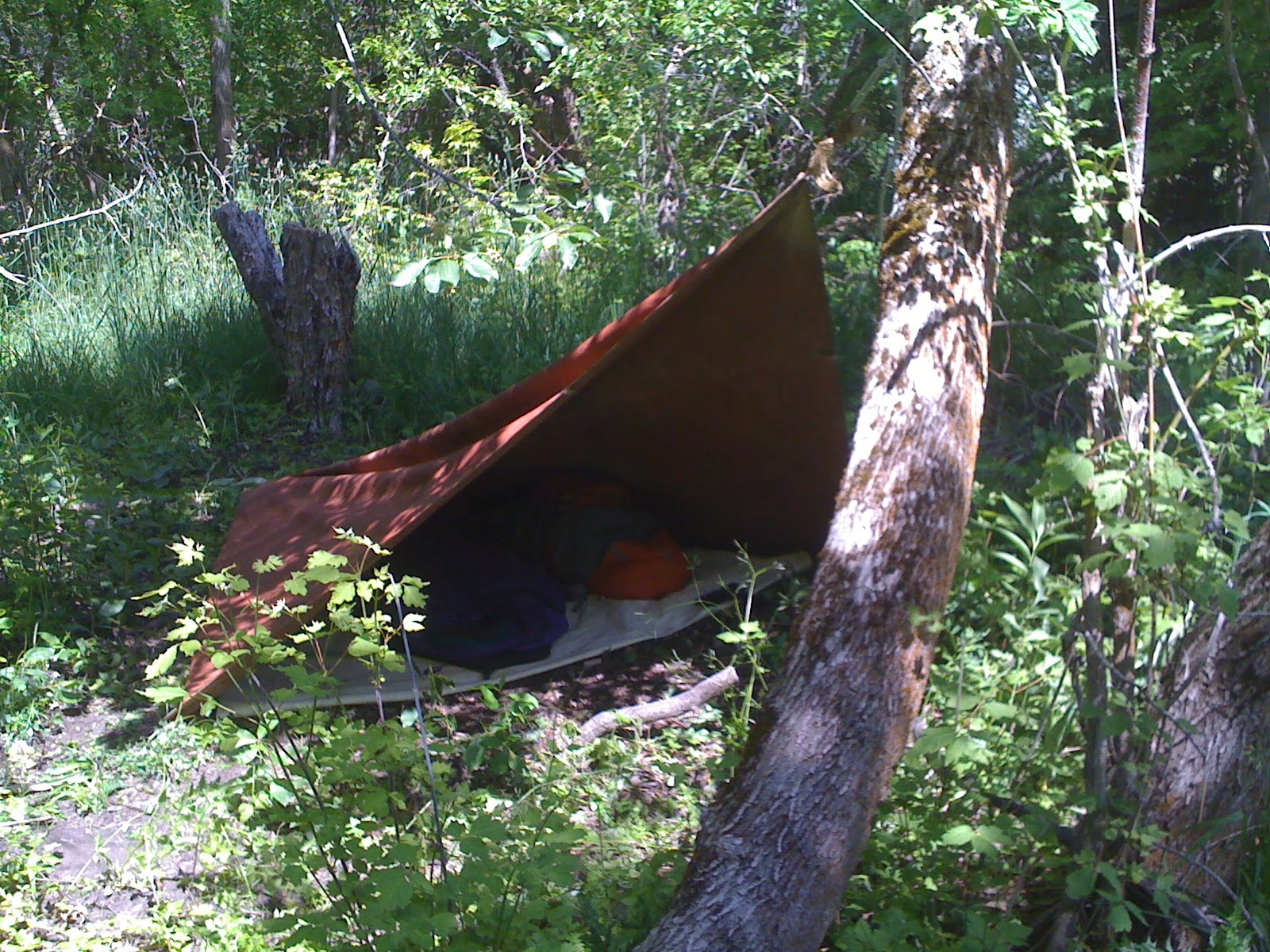 theBRIGADE: The Diamond Shelter