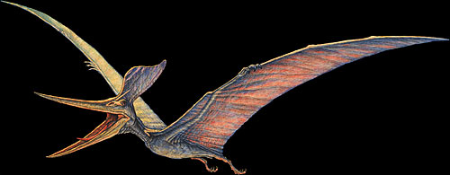 BLOG DINO WORLD: Pteranodonte