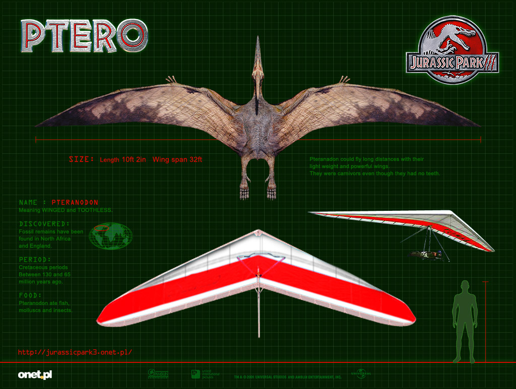 BLOG DINO WORLD: Pteranodonte