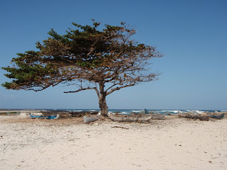 Hélène, Fayçal, Pacha et Céréale.: Vacances aux Comores III