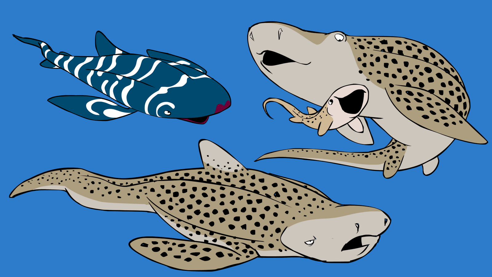 Sordfin: shark week - zebra shark