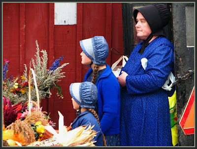 Body Soul and Spirit: Old Order Mennonite Horse Auction