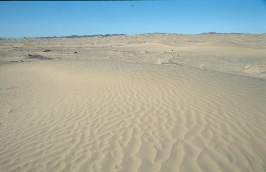 War News Updates: Why Is The U.S. Army Shipping Sand To Iraq .... And ...