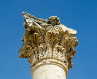 Foto Wilk: Ornamentyka i DKP