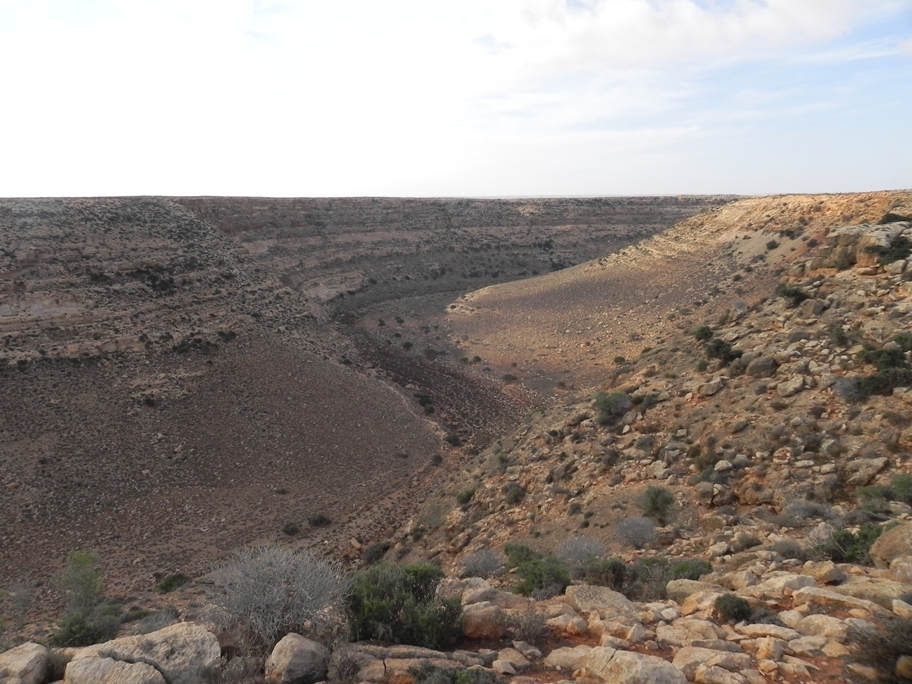 Birding for a Lark: Derna wetlands field trip - the beginning