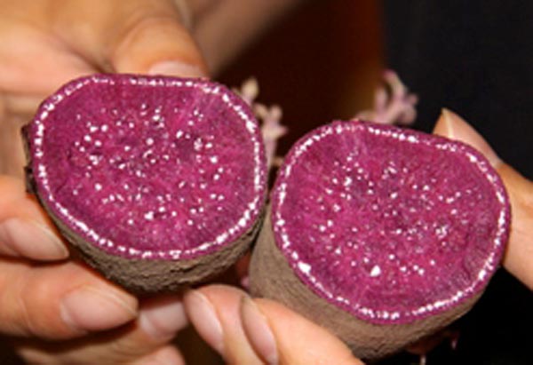 Alimentos morados, salud en su mesa : DESDE LA REPÚBLICA DOMINICANA