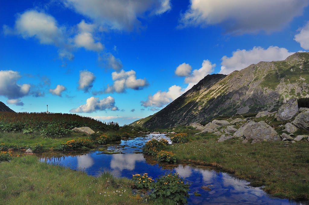 "A PIECE OF EUROPEAN TREASURE": The legend of Retezat Mountain