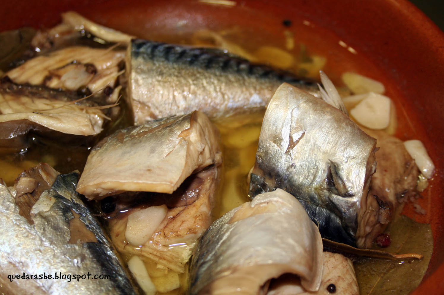 Quedaràs bé!!: Verat en escabetx