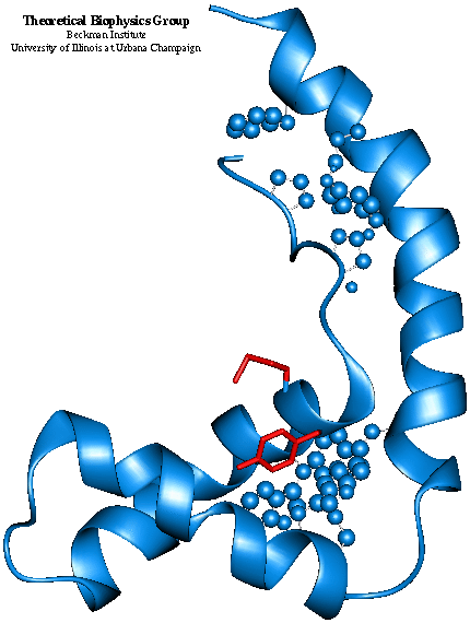 Molecular Genetics - DNA, RNA, & Protein: DNA BINDING PROTEINS