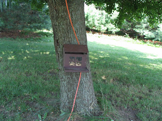 Nature Knitter: The Squirrel Nutbox
