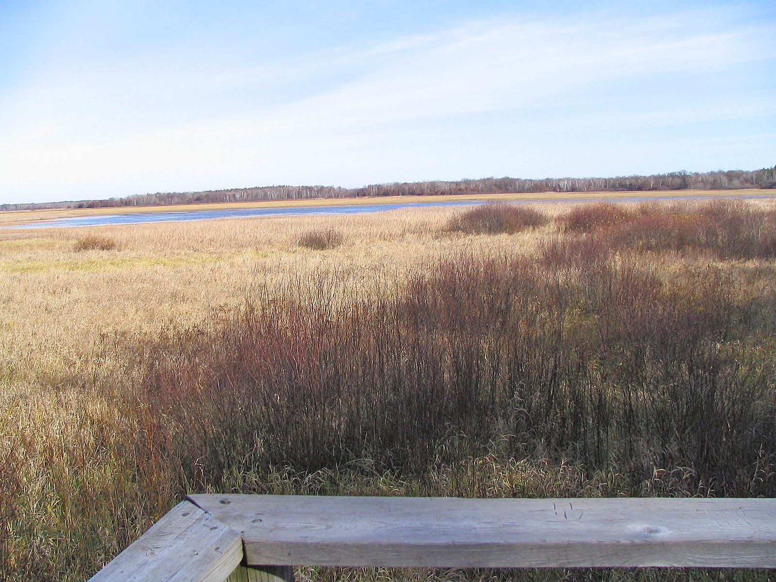 Nature Knitter: A Visit to Crex Meadows