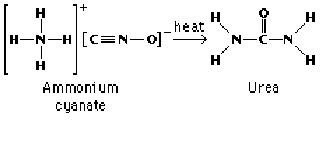 Pharmacy study, books, assignments and others.... For pharmacy students ...