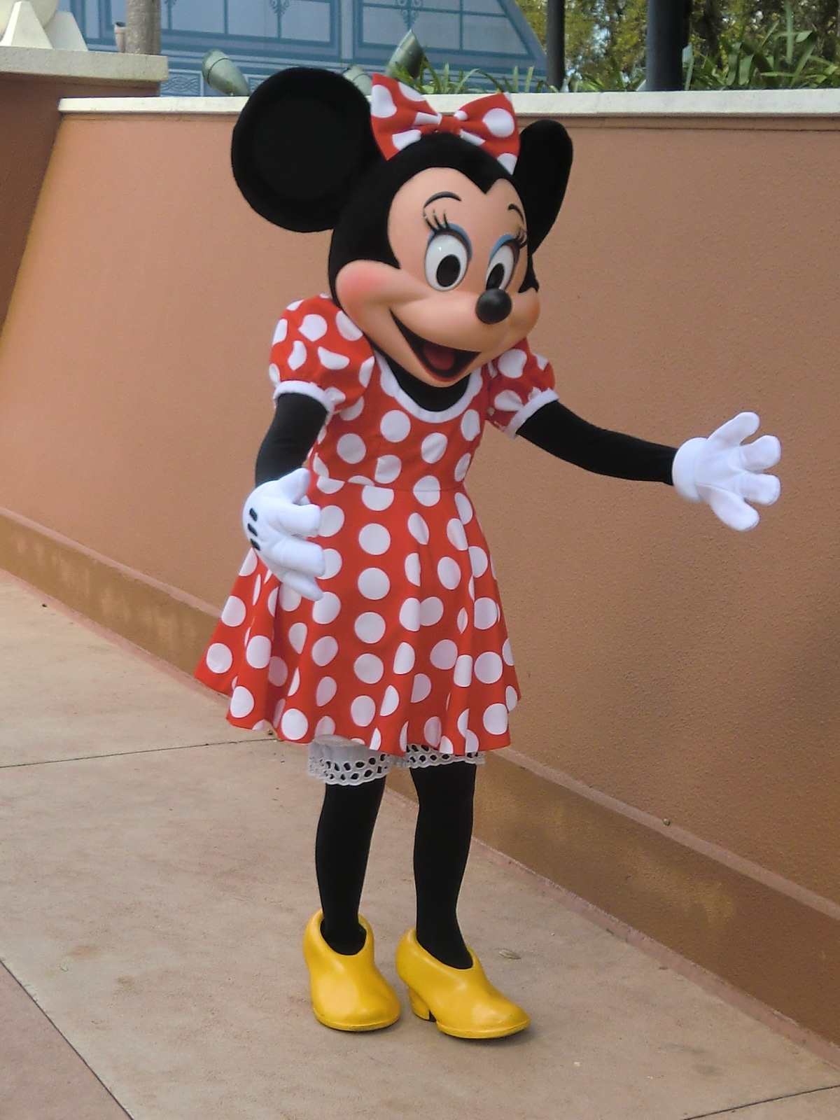 Unofficial Disney Character Hunting Guide: Character Training Random Spots