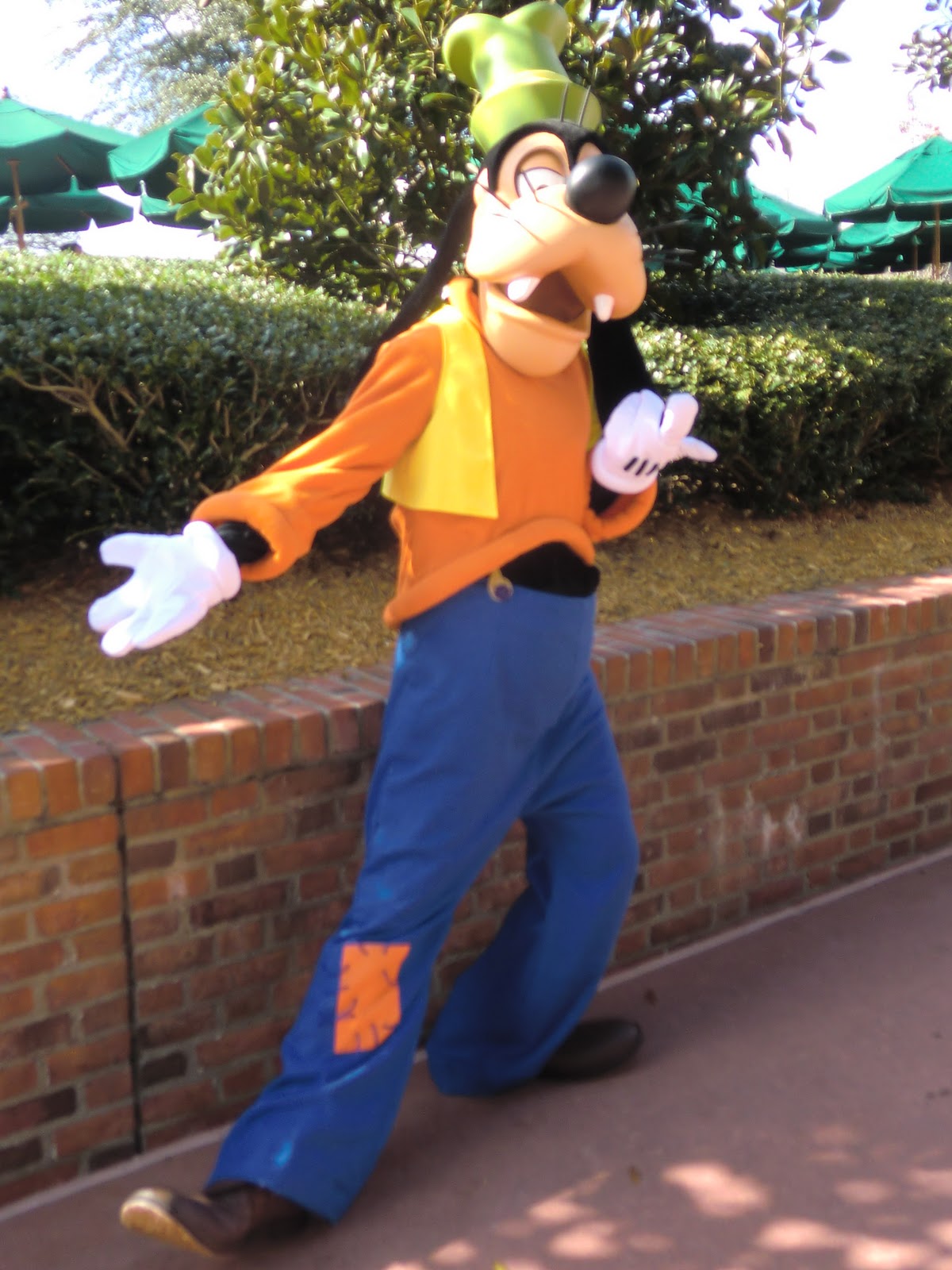 Unofficial Disney Character Hunting Guide: Character Training Random Spots