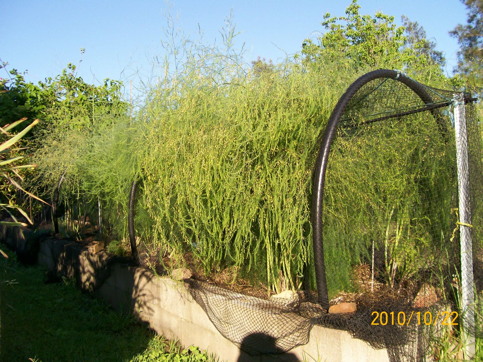 Adventures on Home Hill Farm: Raw Milk, Spring Vegetables, Orchard ...