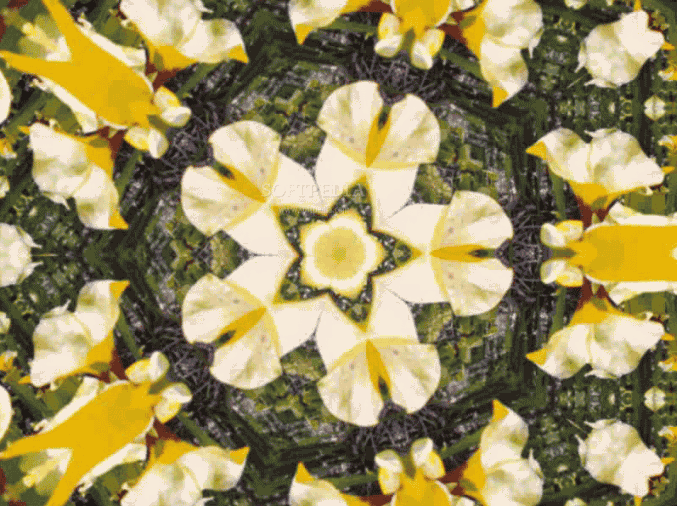 voze se na točku: Kaleidoskop saga