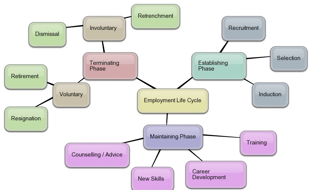 Business Management U4O1: Week 2 - Employment Cycle (Establishment Phase)