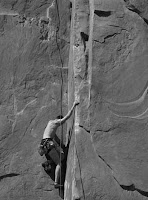 Hyssop, Sponge and Vinegar