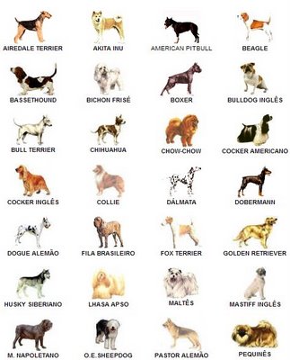 CUIDADOS COM SEU PET: RAÇAS DE CÃES PELO MUNDO