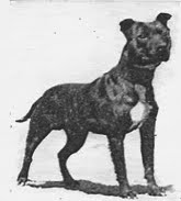 craven desires: John P. Colby: the fountainhead of the American 'Pit ...