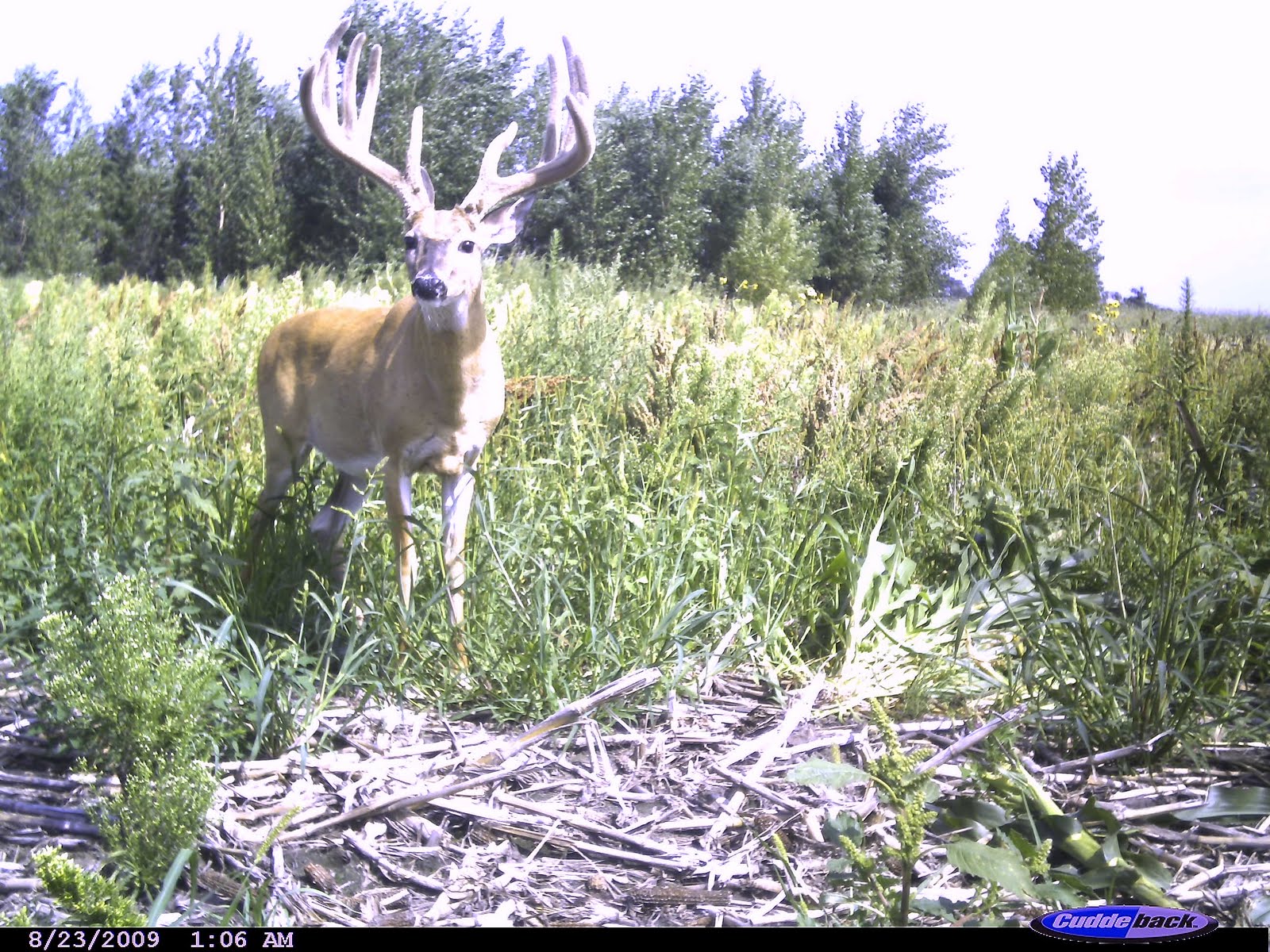 Jeff Danker - BuckVentures Outdoors