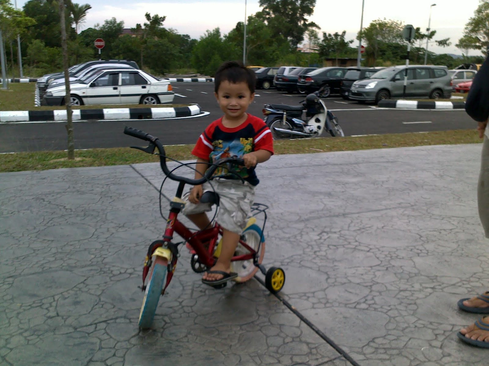 Image Basikal Lukisan Cinta