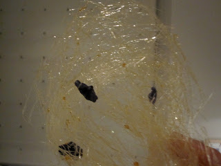 Ex-Patisserie: From St. Barths to St. Honore