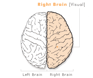 Live-Laugh-Love: Brain Power Report