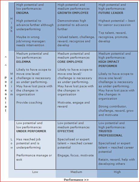 the low performer: Classifying employees according to performance