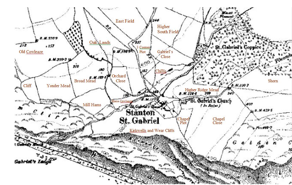 Absence: Gabriel's - Field Names