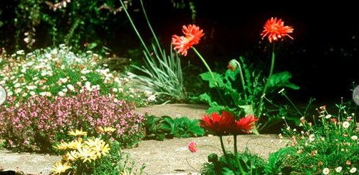 ΤΑΡΑΤΣΟΚΗΠΟΣ...Ο ΚΗΠΟΣ ΤΩΝ ΠΟΛΕΩΝ: Οι άνθρωποι σπάνε το τσιμέντο. The ...