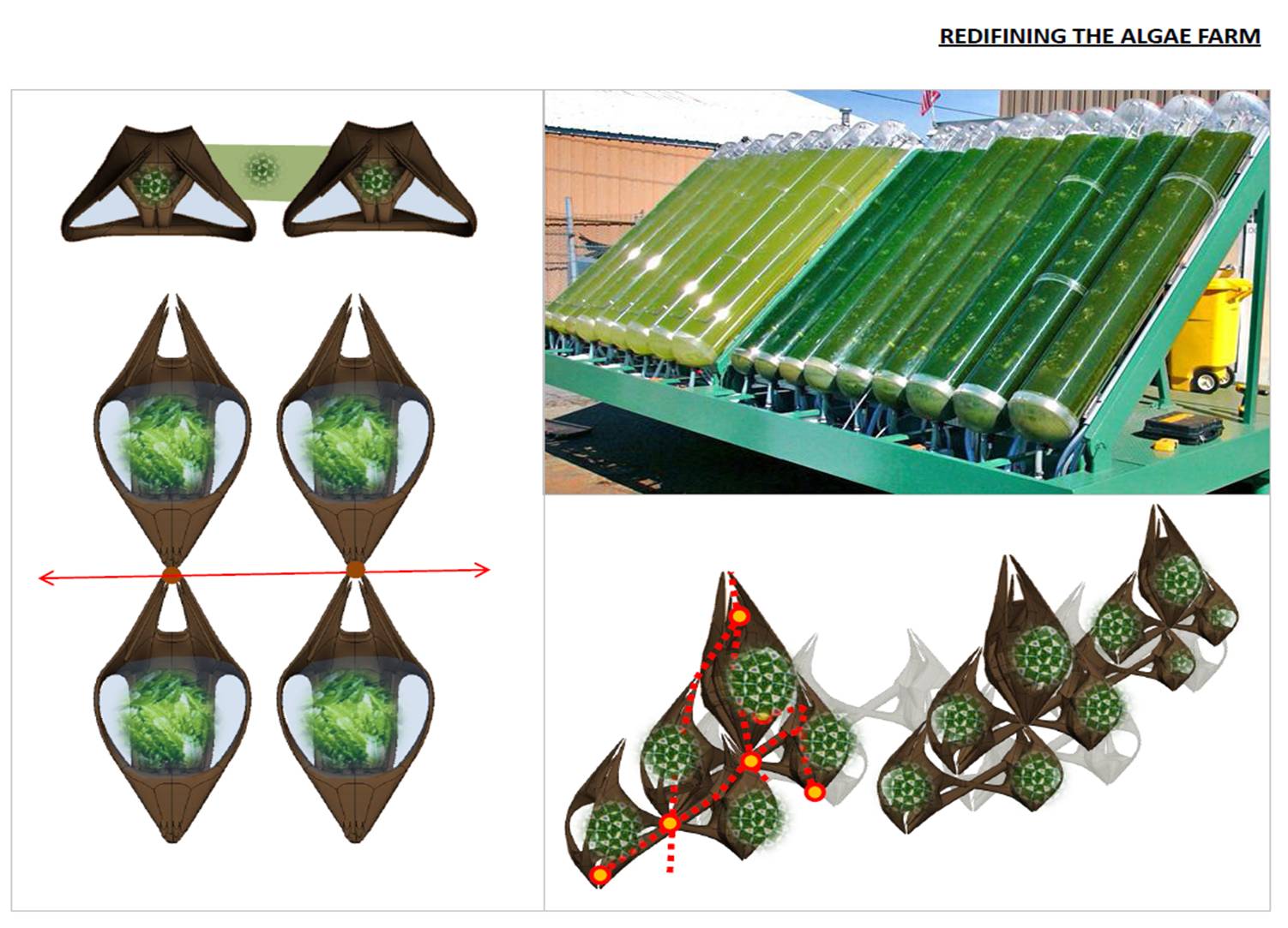 Echoes Of An Ecos Exploring The Algae Farm