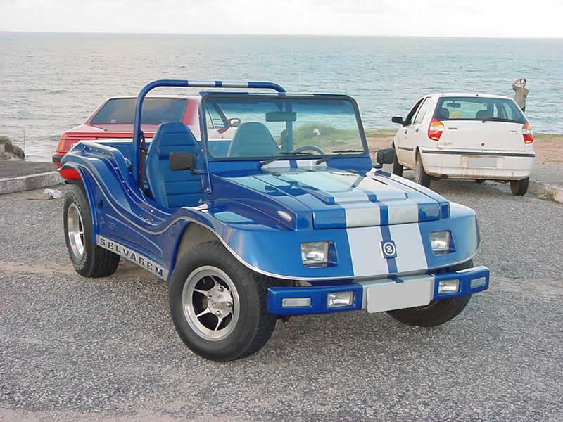 Mundo Automotivo: Bugre Selvagem