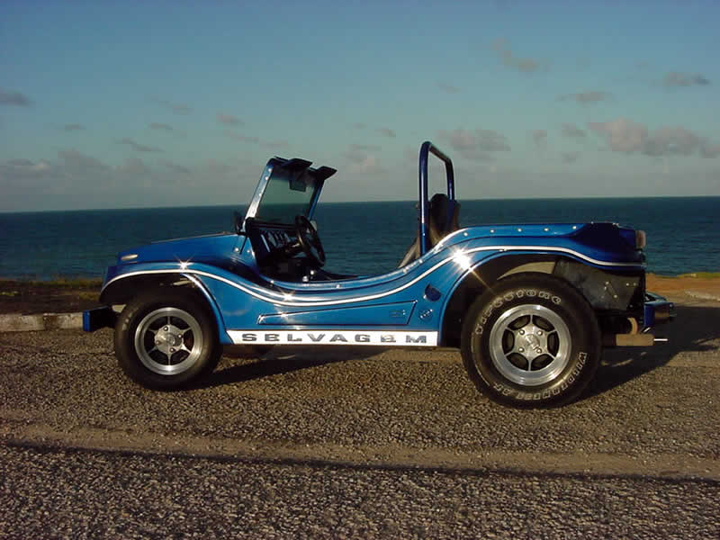 Mundo Automotivo: Bugre Selvagem