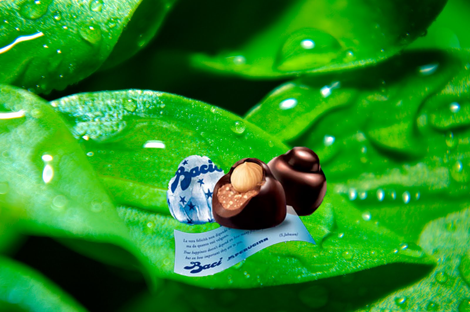 Baci Perugina: Baci Perugina - bomboanele ECO ce sprijina Mediul!