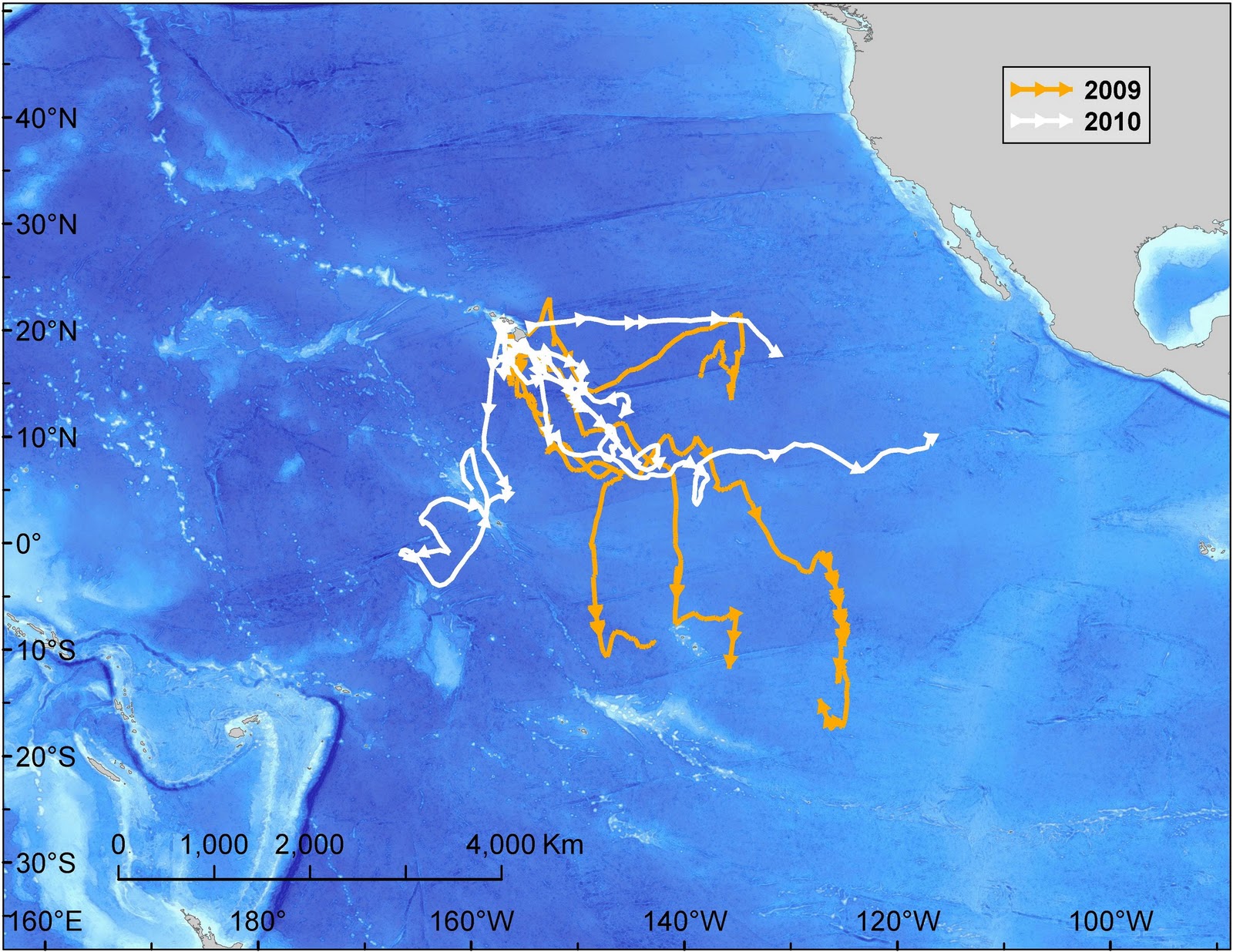 The Great Marlin Race