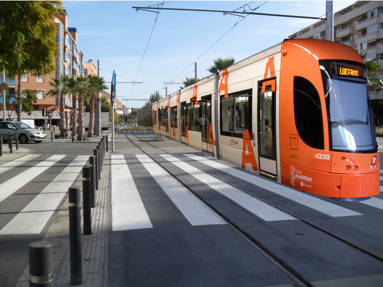 Alacantí de profit: diciembre 2010