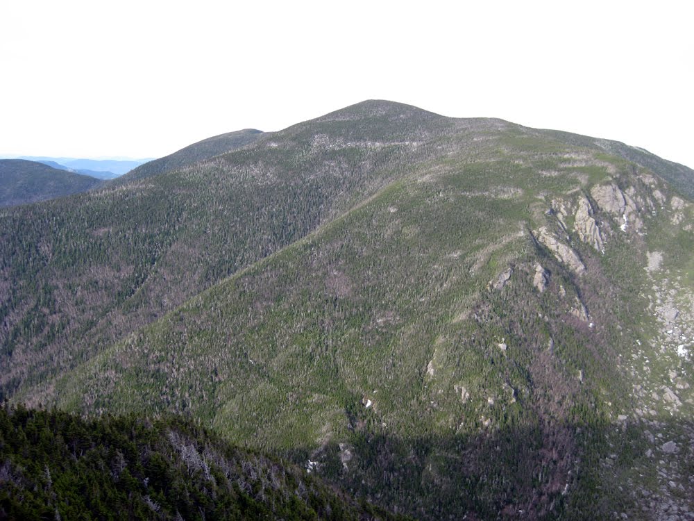 Naturally New England: In the Shadow of the Cat