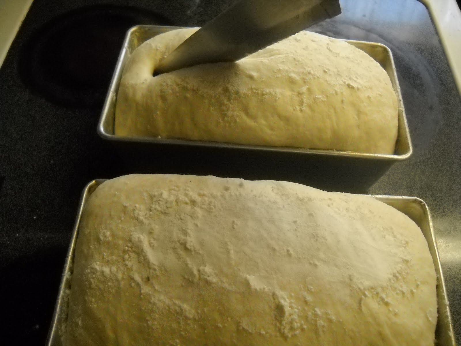 Blessed Vegan Life: Basic White Bread