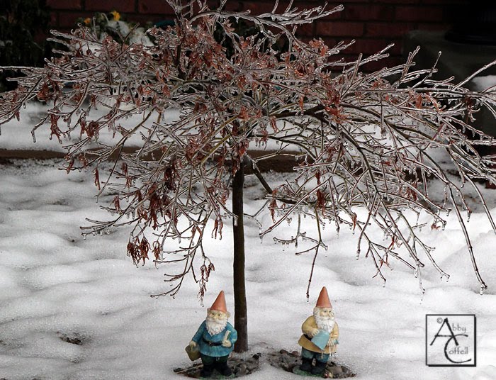 Following the Creative Path...: Kentucky Snow and Ice