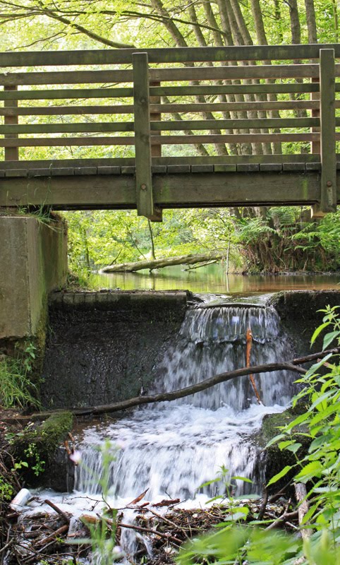 Captain Ahab's Watery Tales: Cannock Chase