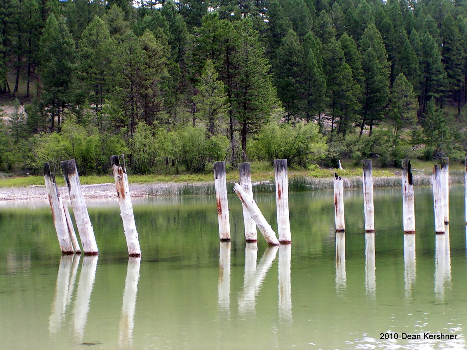 Geared Steam: The Frank Lake Trestle-Eureka Montana Logging