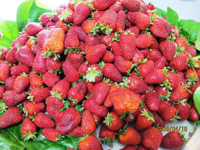 Story of a Trailing Spouse: Juicy Goje Sabz...