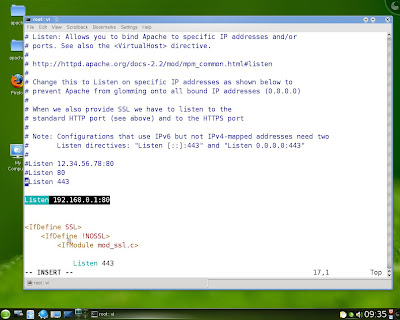 Configure Apache Services on SUSE Linux Enterprise Server 11