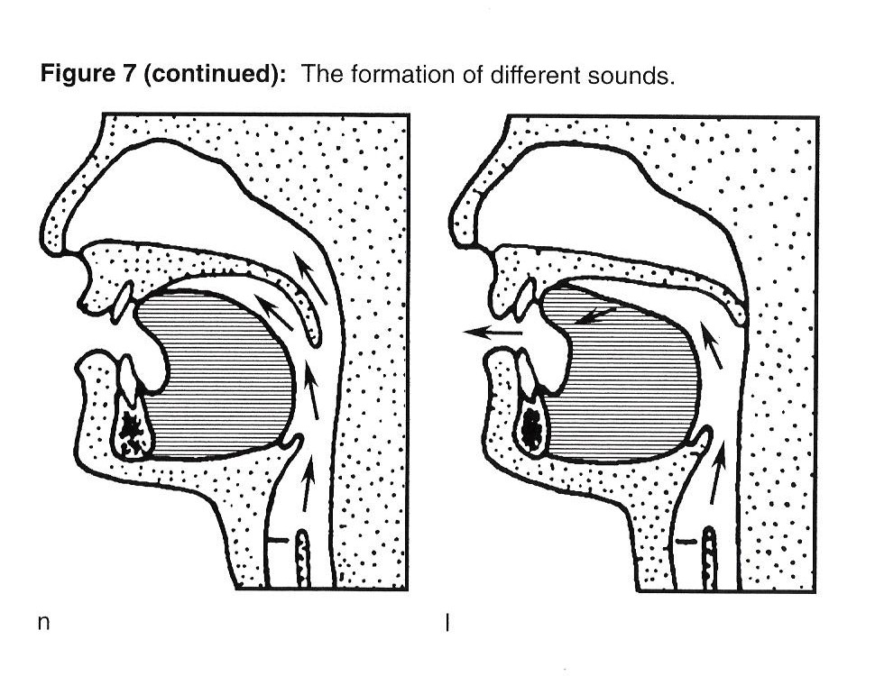 Coping with Stuttering: How Speech Sounds Are Formed