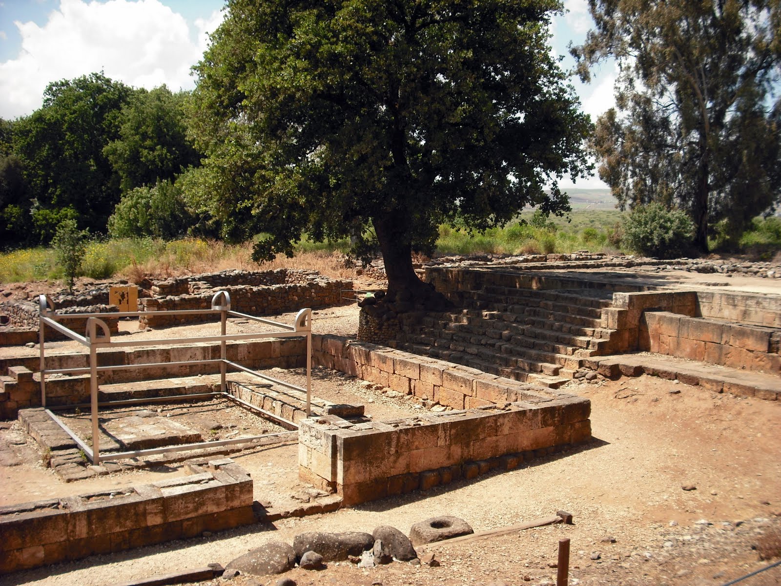 The 80% Blog: Tel Dan