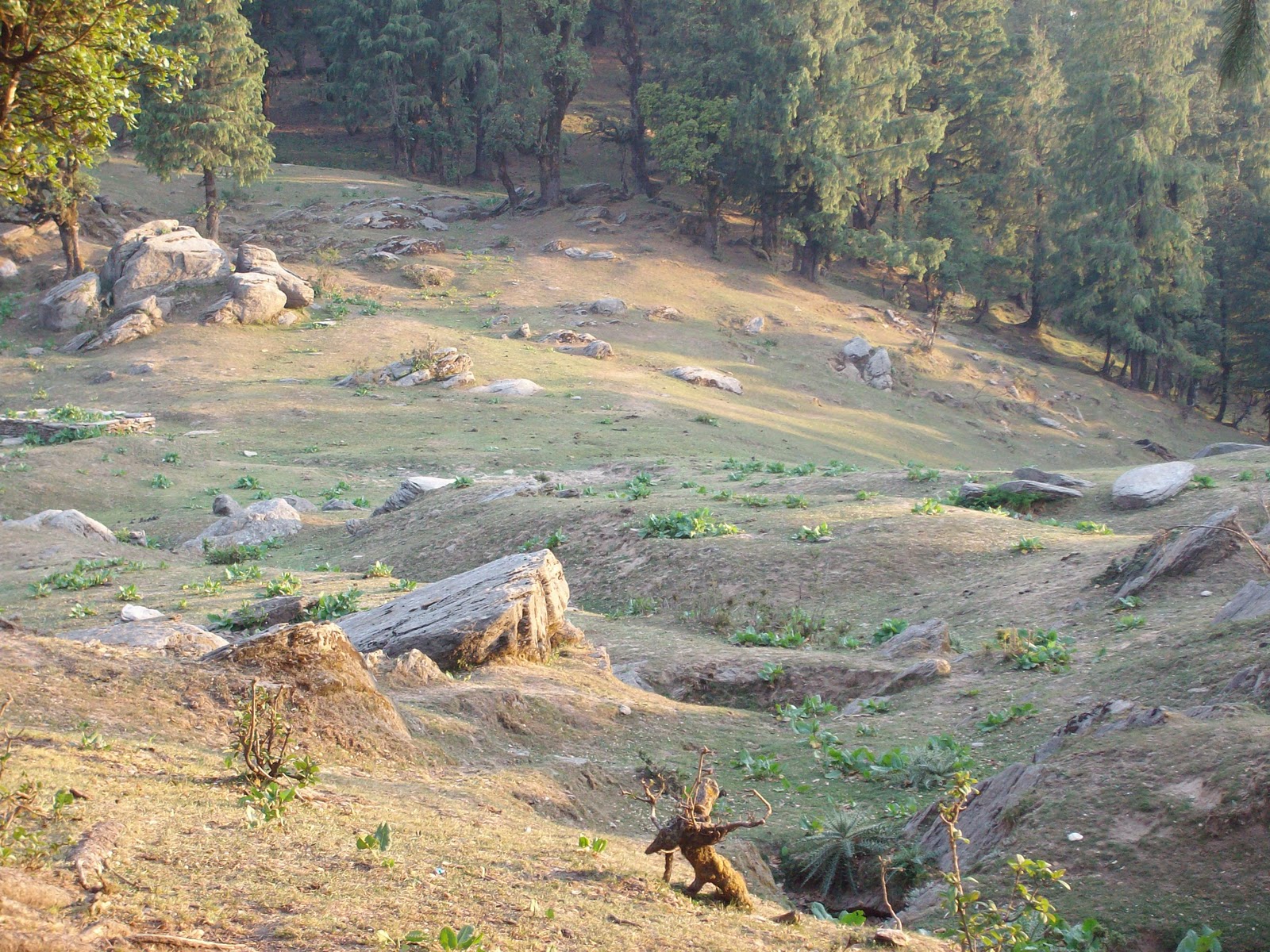 Audacious Nomad: Churdhar Peak- The Highest Peak Of the South Himalayas