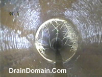 All things Drainage